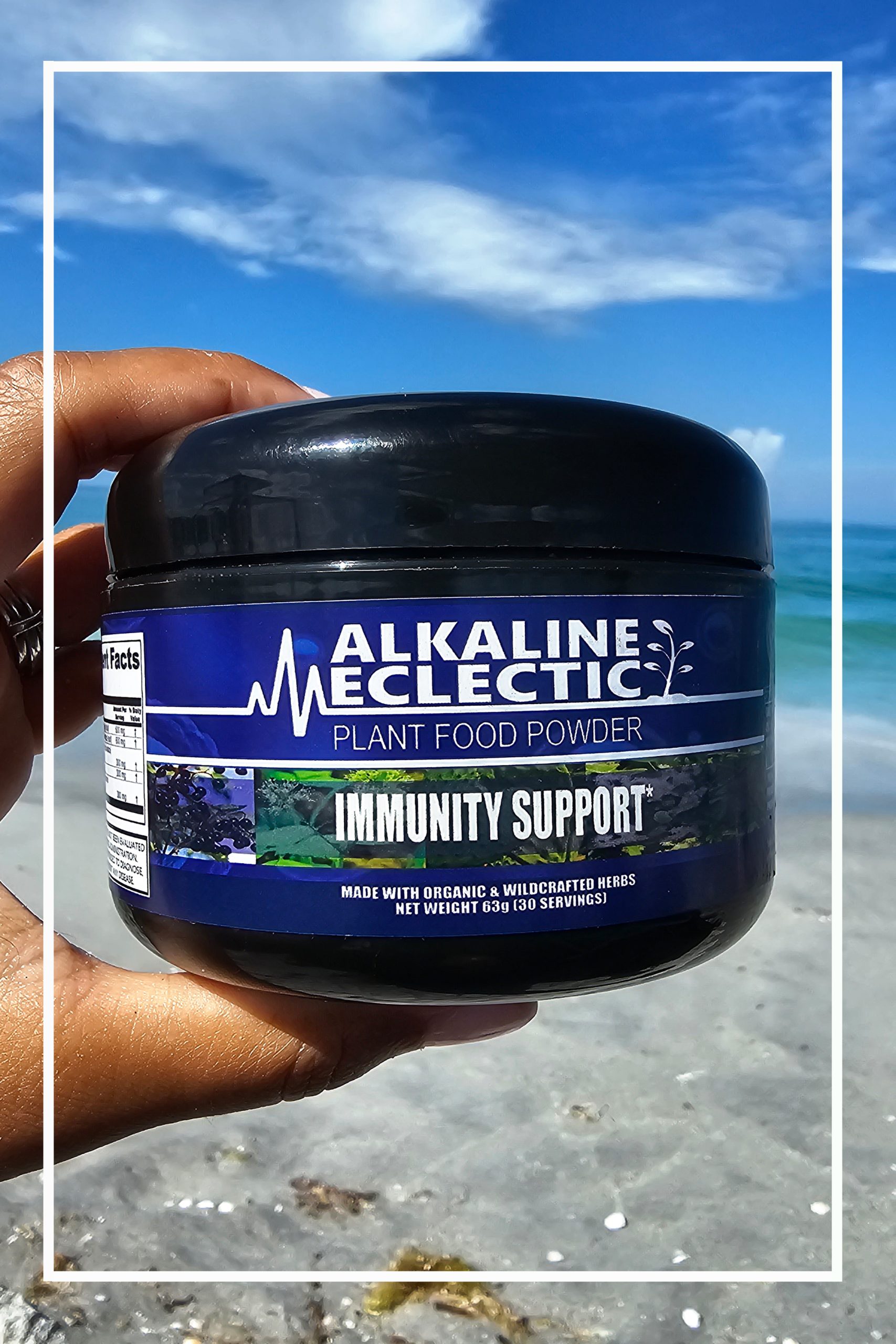 Alkaline Immunity Support Powder Packed with Antioxidants