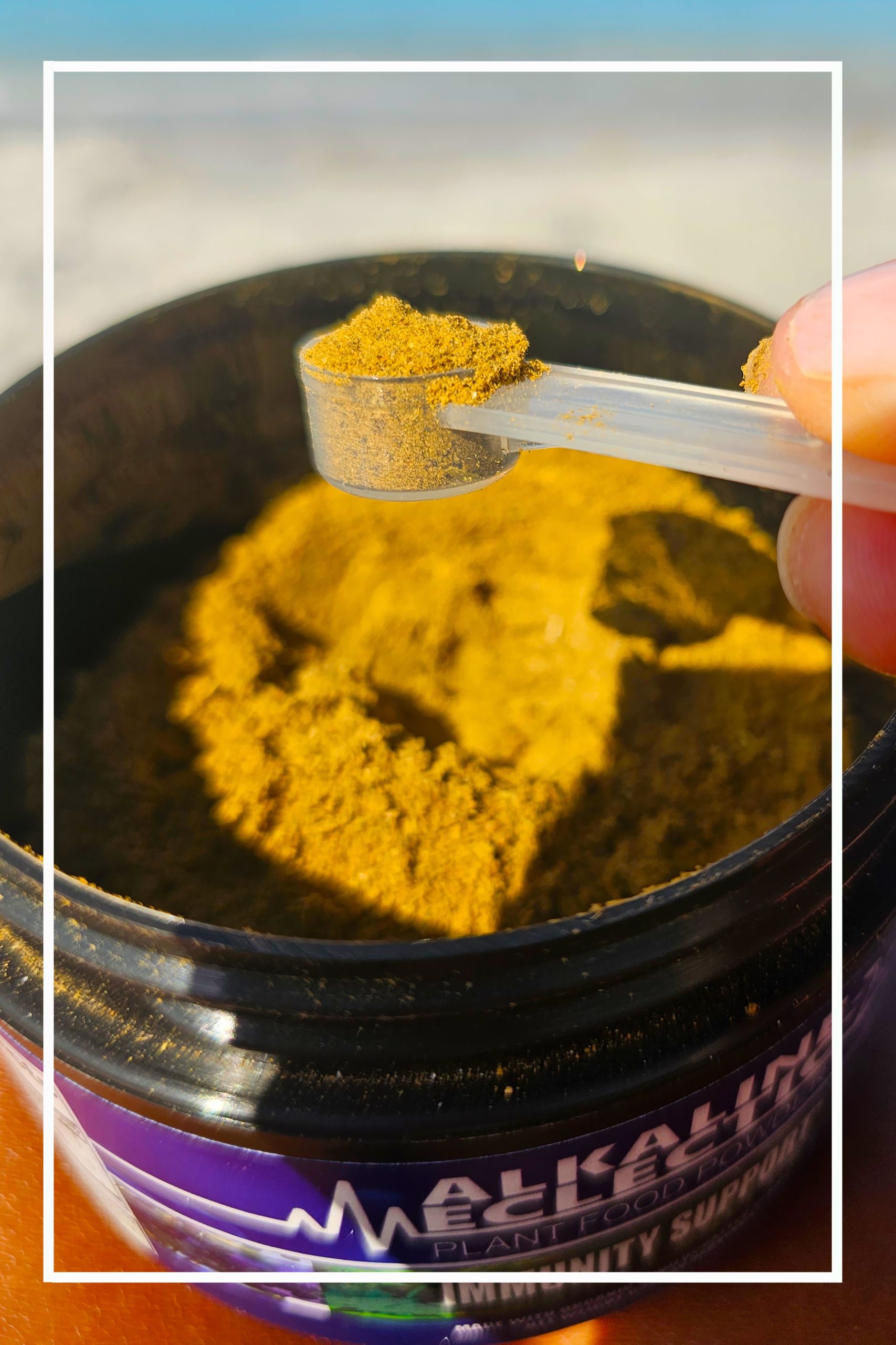 Alkaline Immunity Support Powder Packed with Antioxidants