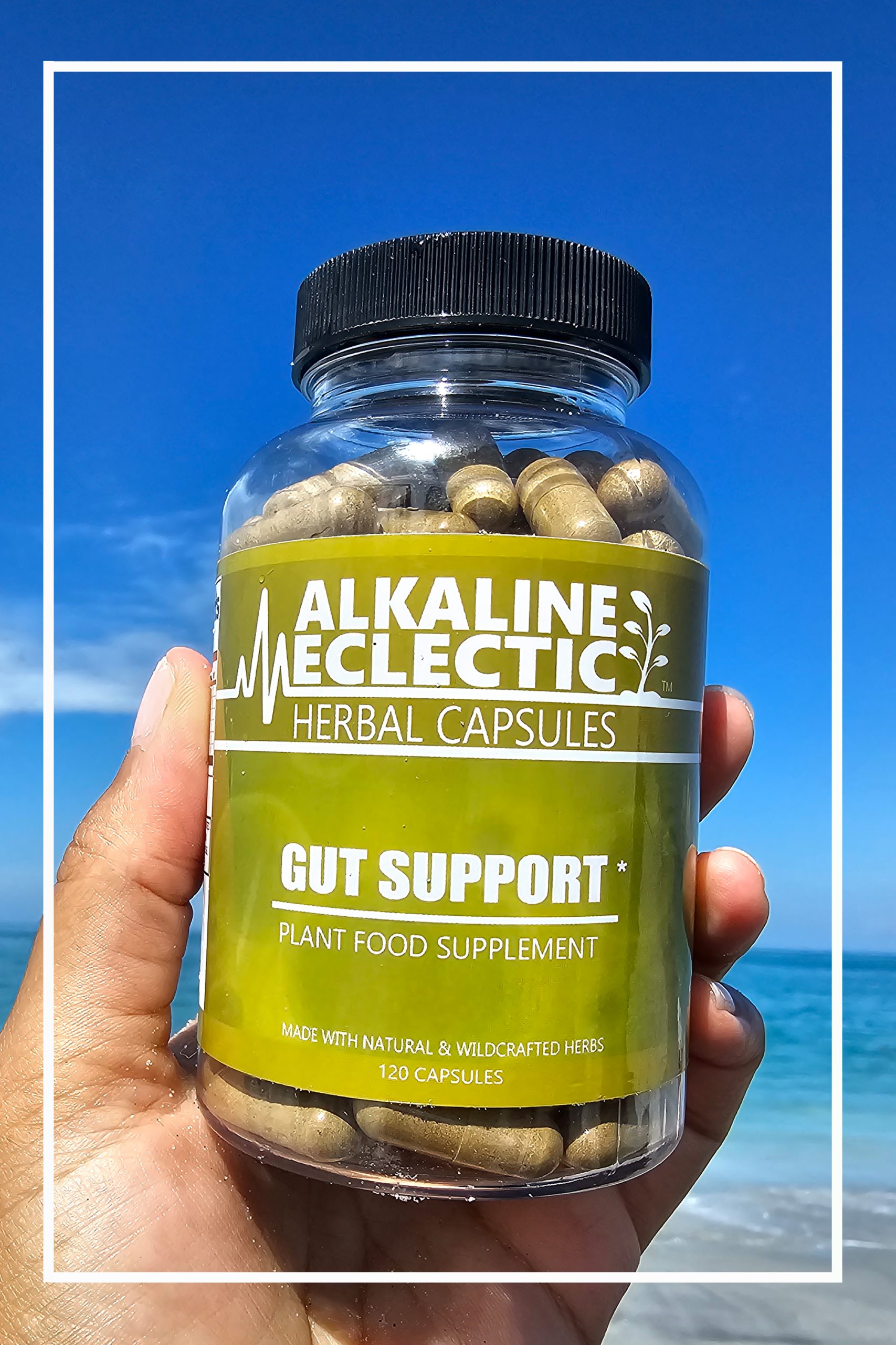 Gut Health Supplements | Herbal Digestive Health Capsule