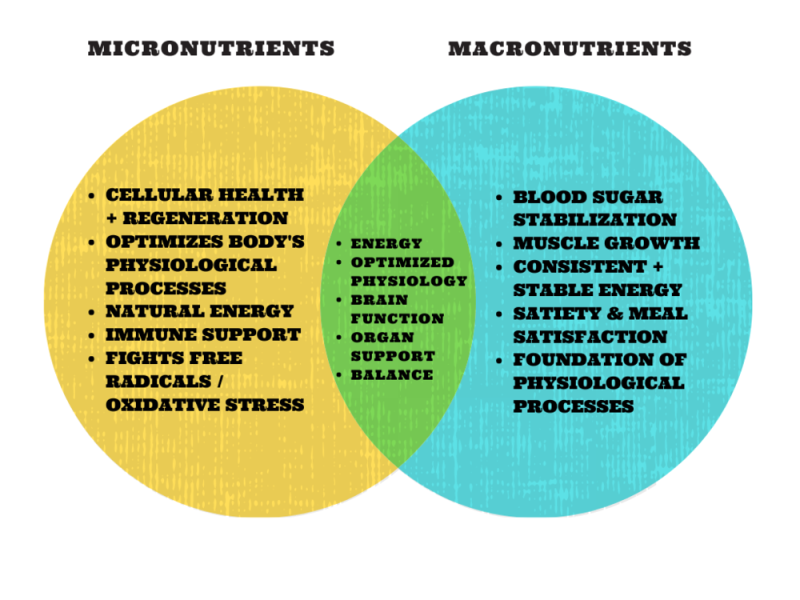 Boost Your Health with Cellular Nutrition Supplements