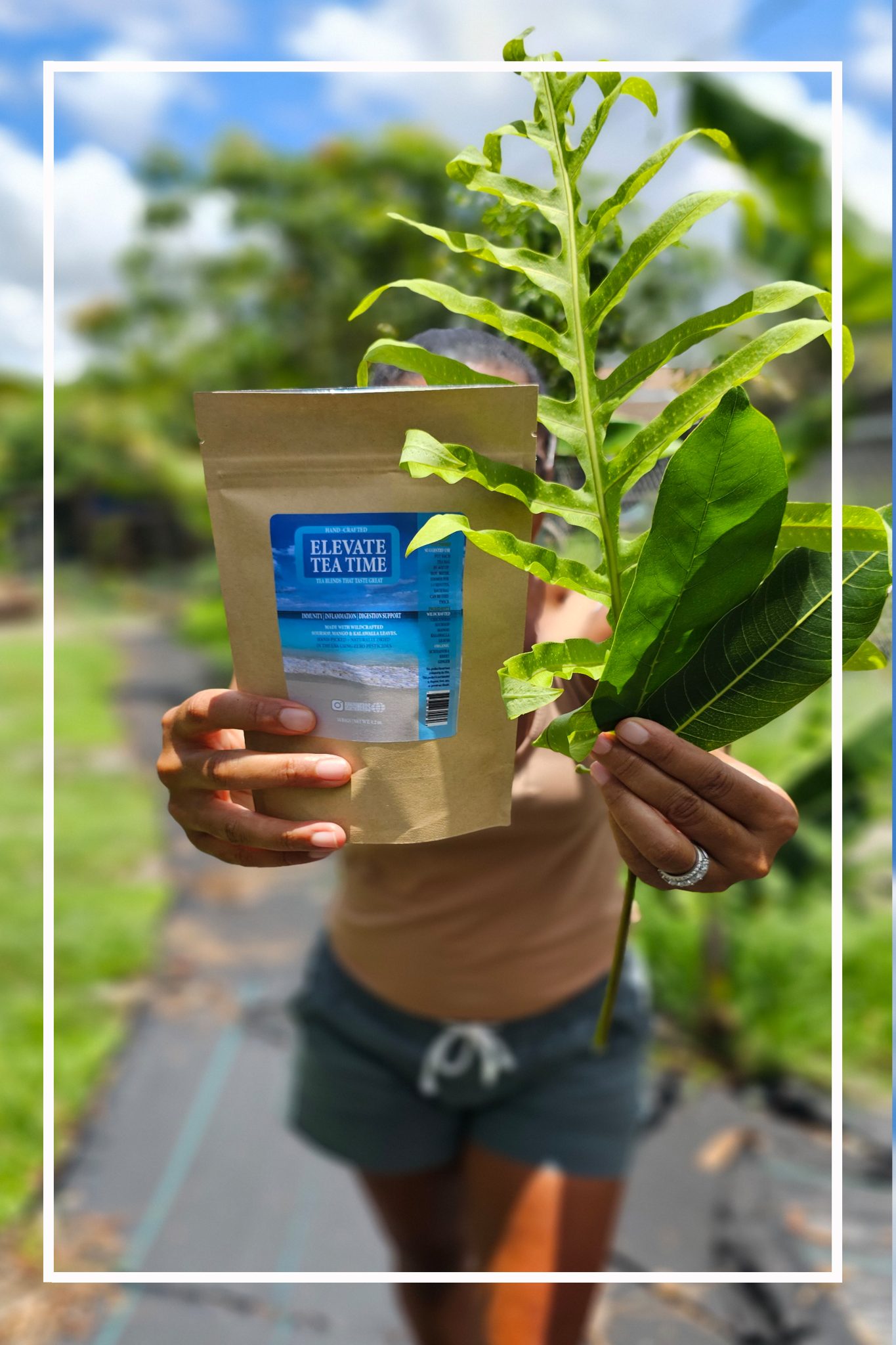 Elevate Tea Time | Alkaline Eclectic Herbs