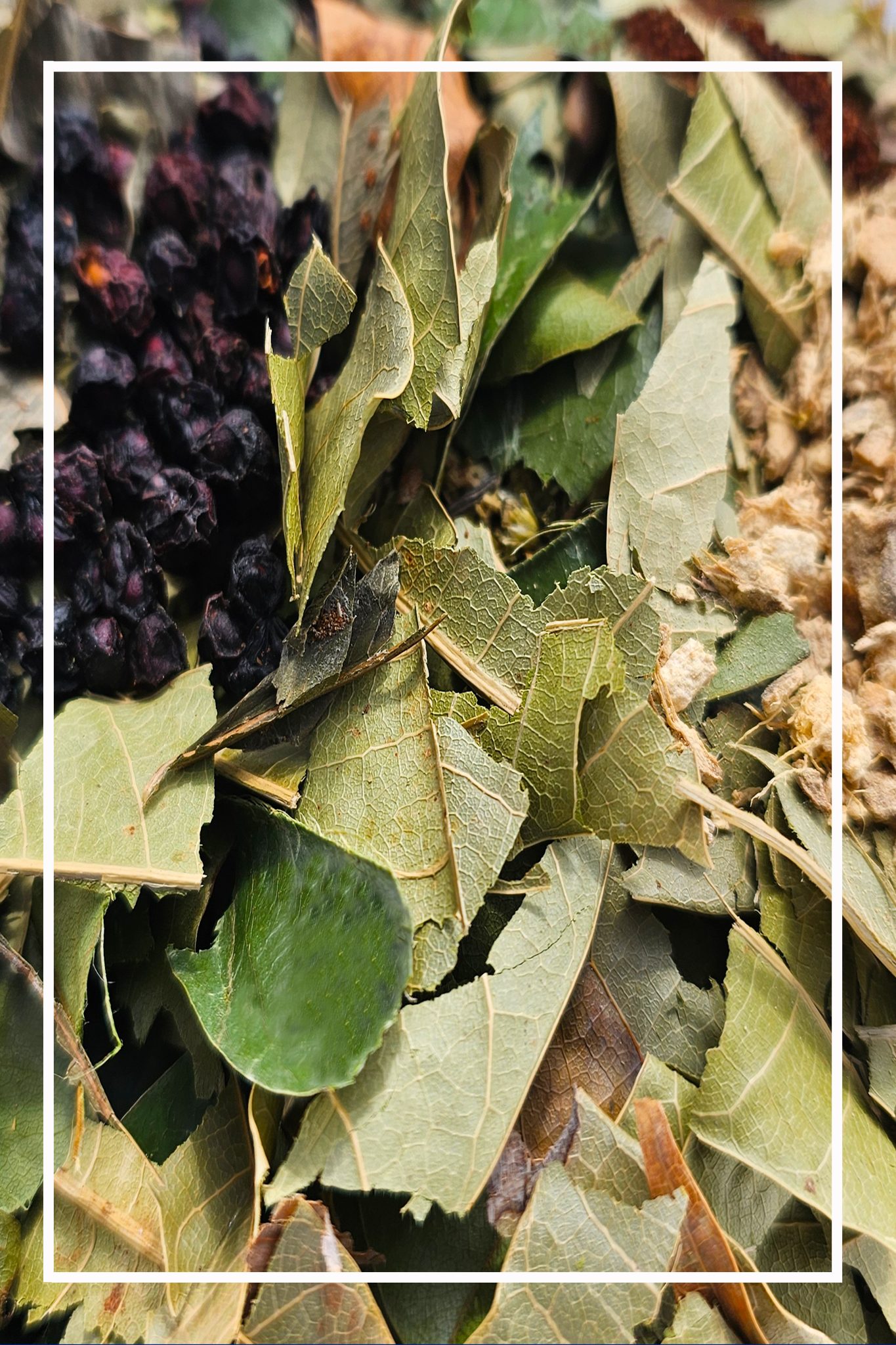 Elevate Tea Time | Alkaline Eclectic Herbs